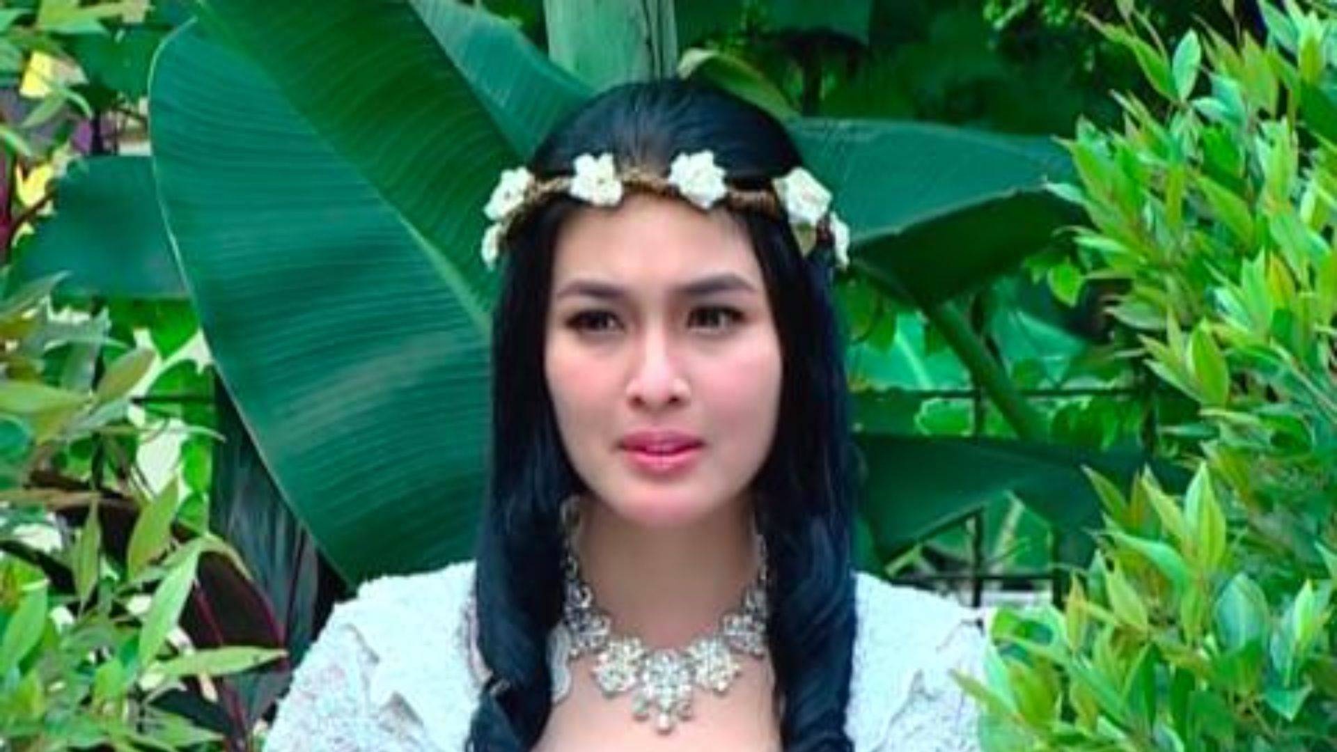 VISION+ - Putri Bidadari / S1 E19 Episode 19