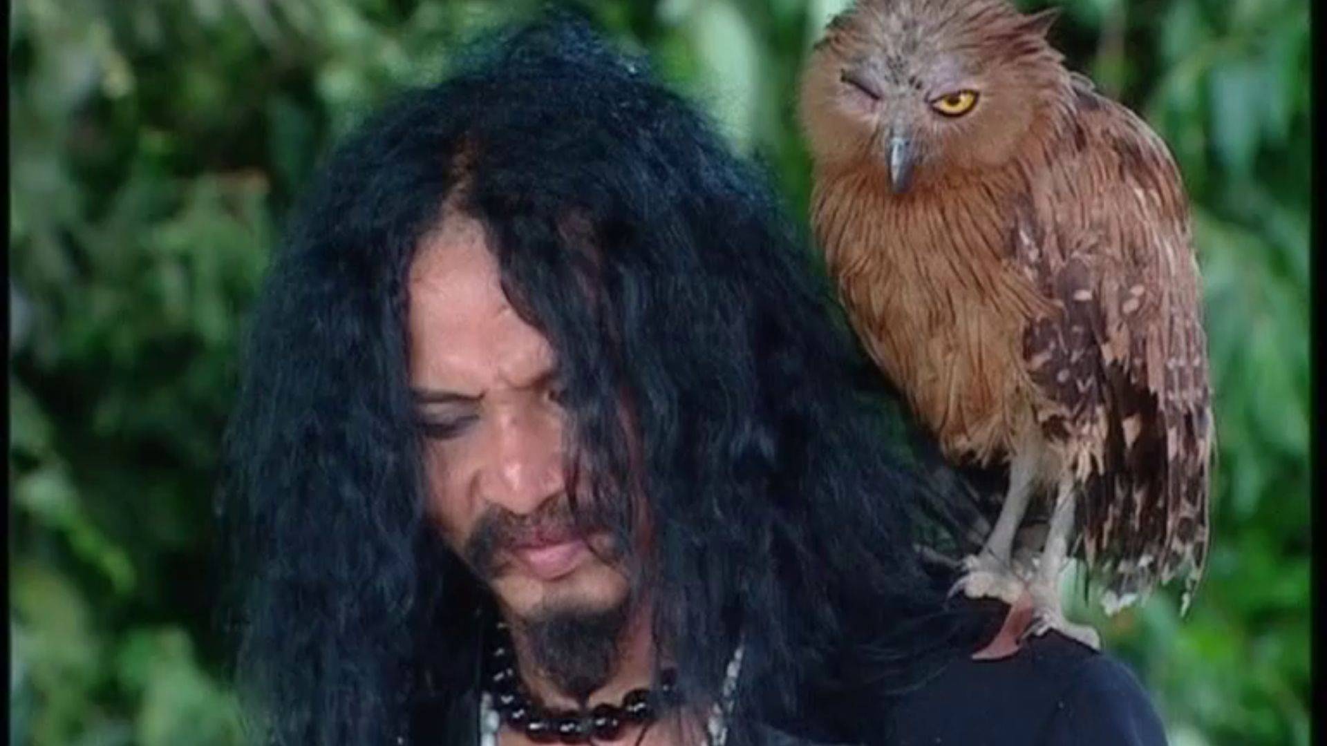 VISION+ - Tarzan Cilik / S2 E25 Episode 25