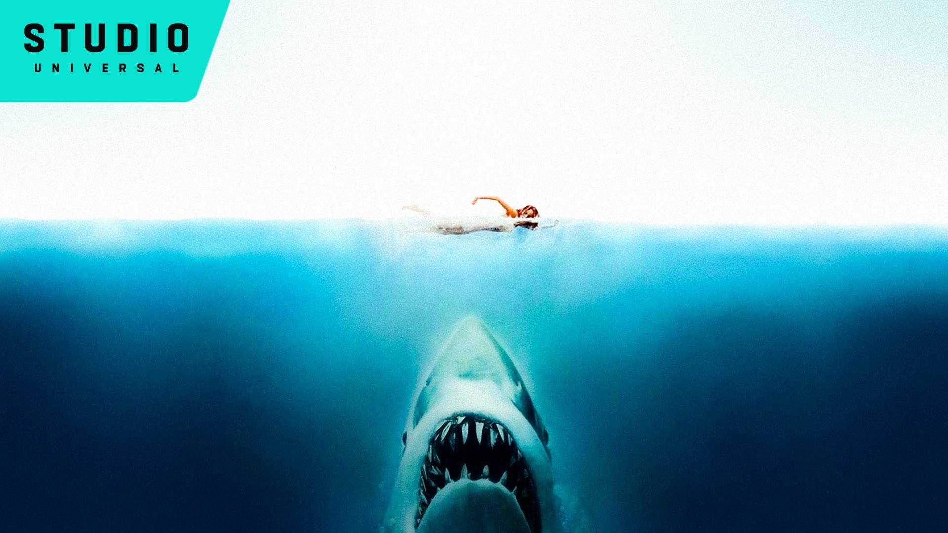 VISION+ - Jaws
