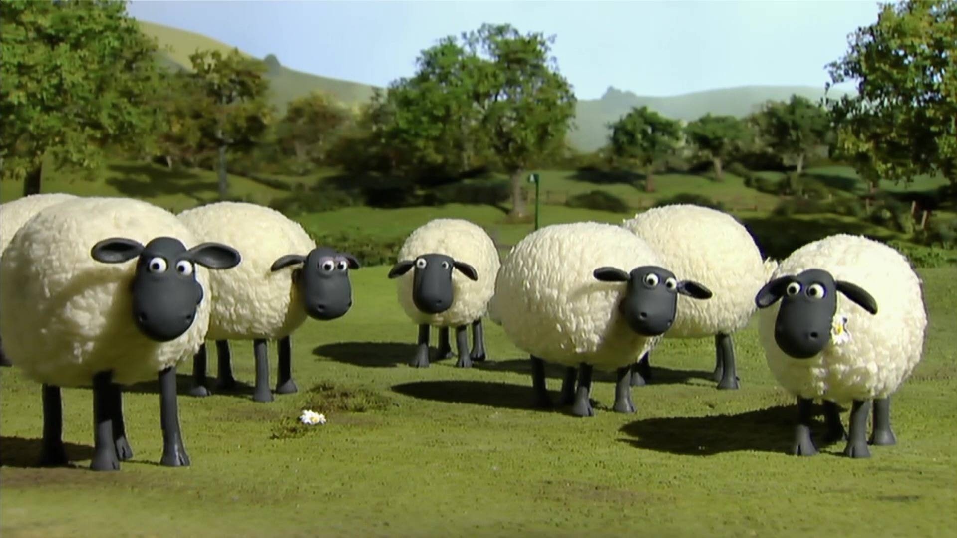 VISION+ - Shaun the Sheep / S1 E8 Buzz Of Bees